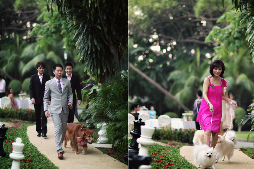 shawn . denise » William Chua Photography