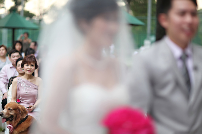 shawn . denise » William Chua Photography