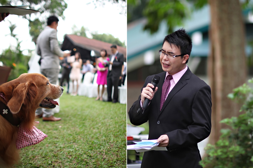 shawn . denise » William Chua Photography