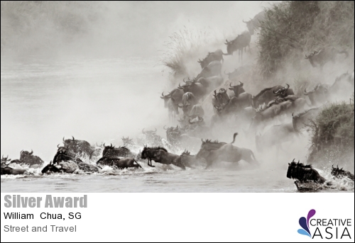 awards in creative asia 2012 » William Chua Photography