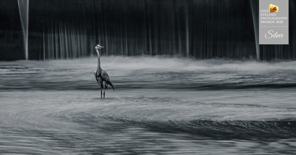 ONE EYELAND AWARDS 2020 ( award winning images taken with Fujifilm ...