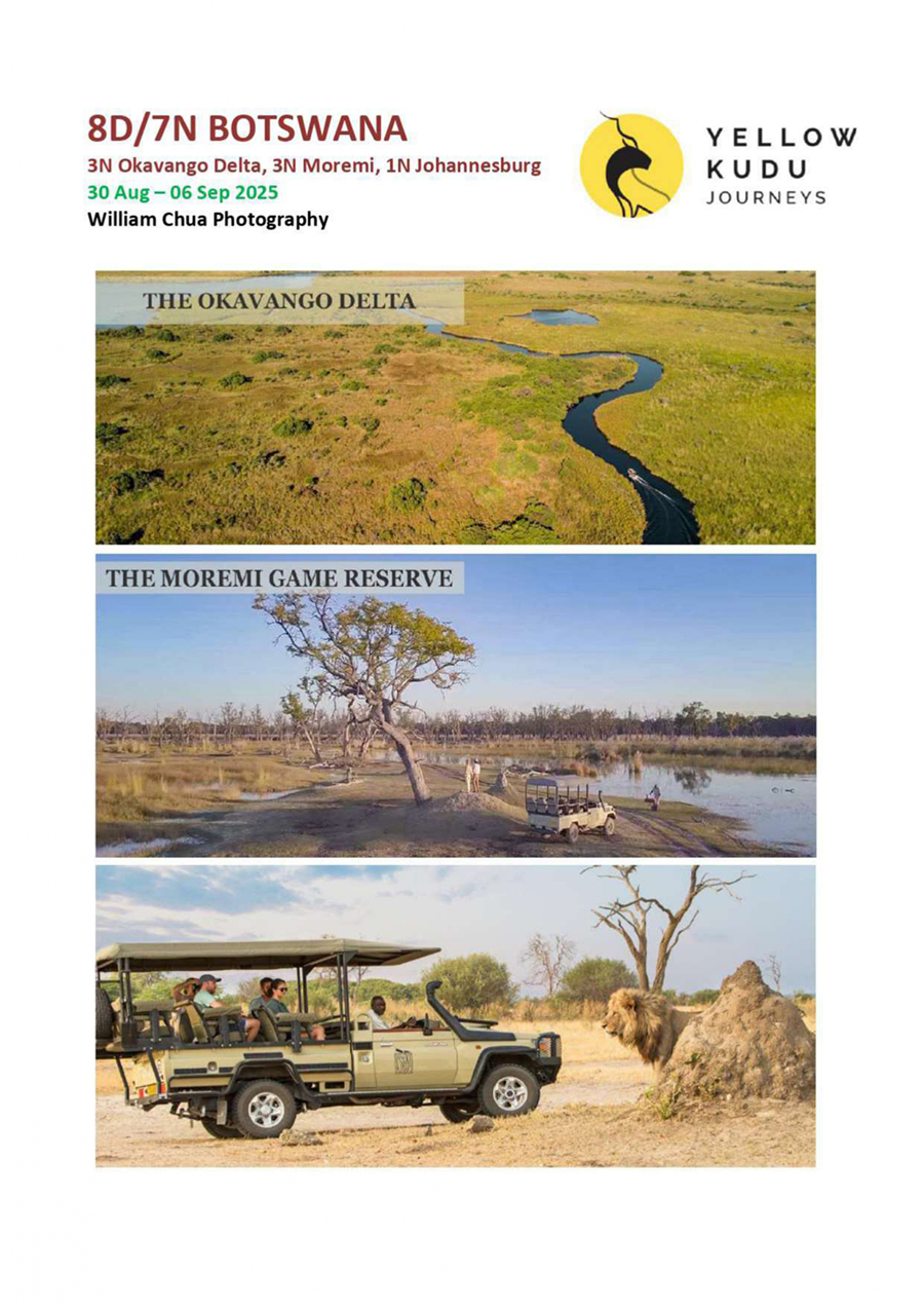 William Chua Photography » Blog